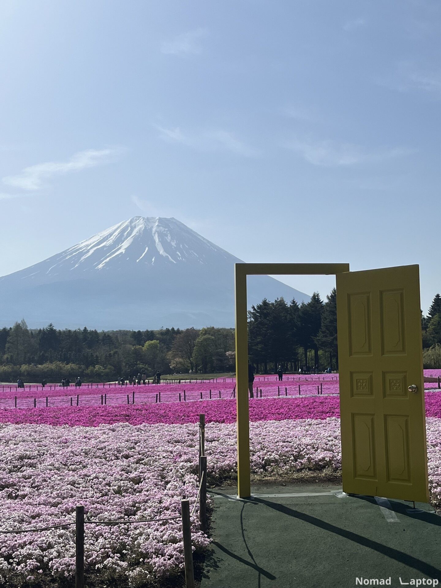 Sakura in Japan - Best places and festivals to enjoy the cherry blossom ...